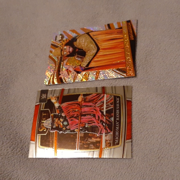 Panini | Toys | Macho Man Randy Savage Wwe Wcw Cards Revolution And ...